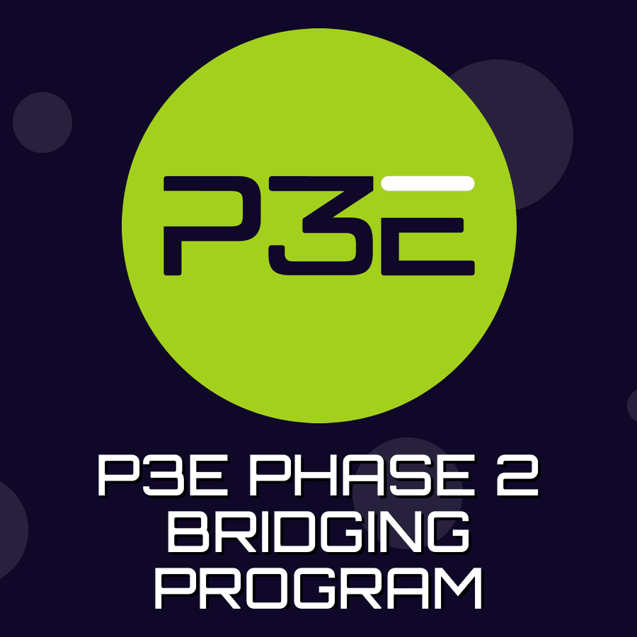 The P3E Phase 2 Bridging Program - Phase 3 Ecom